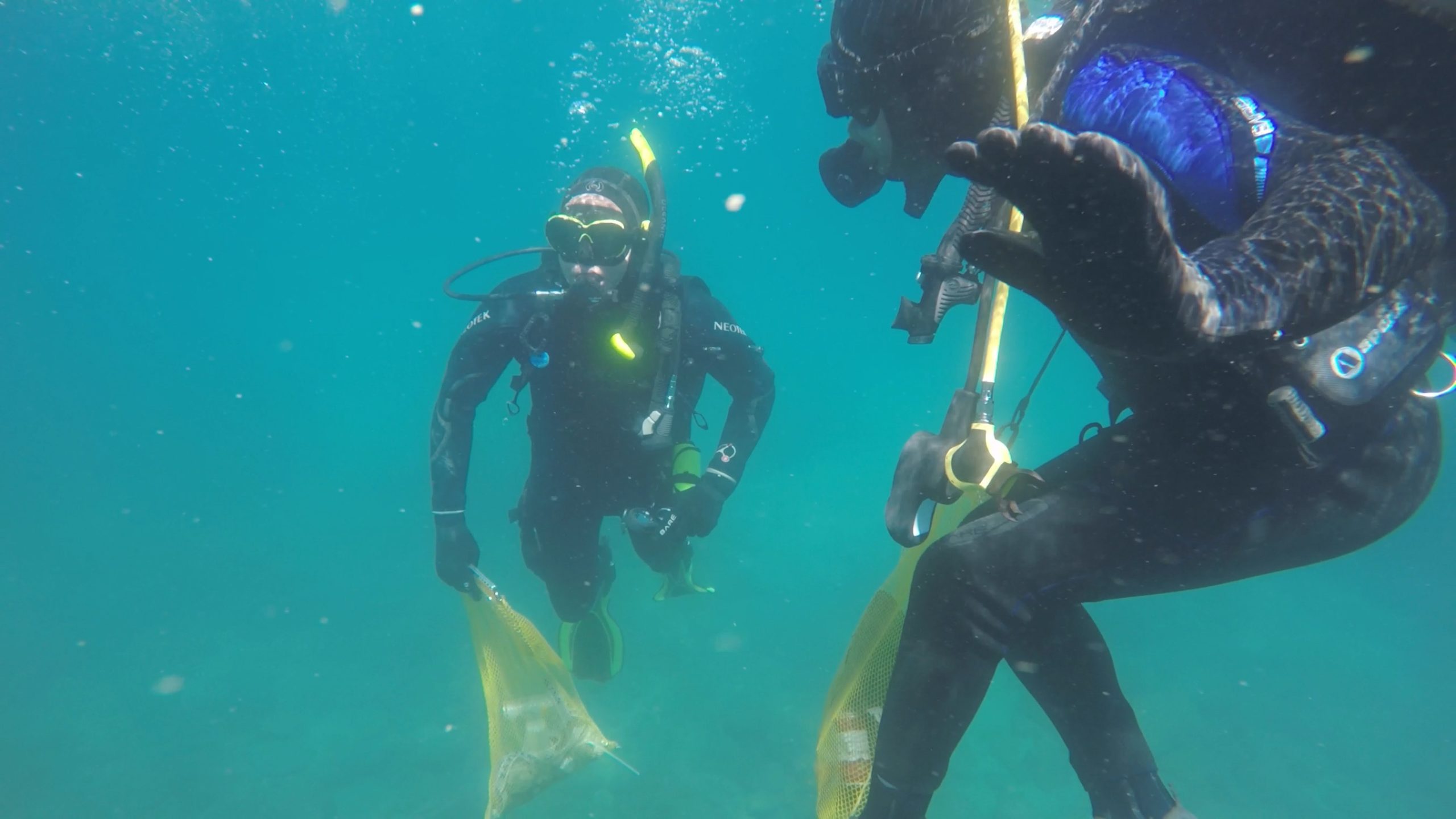 Divers snag Donner Lake trash monster • Reno News & Review