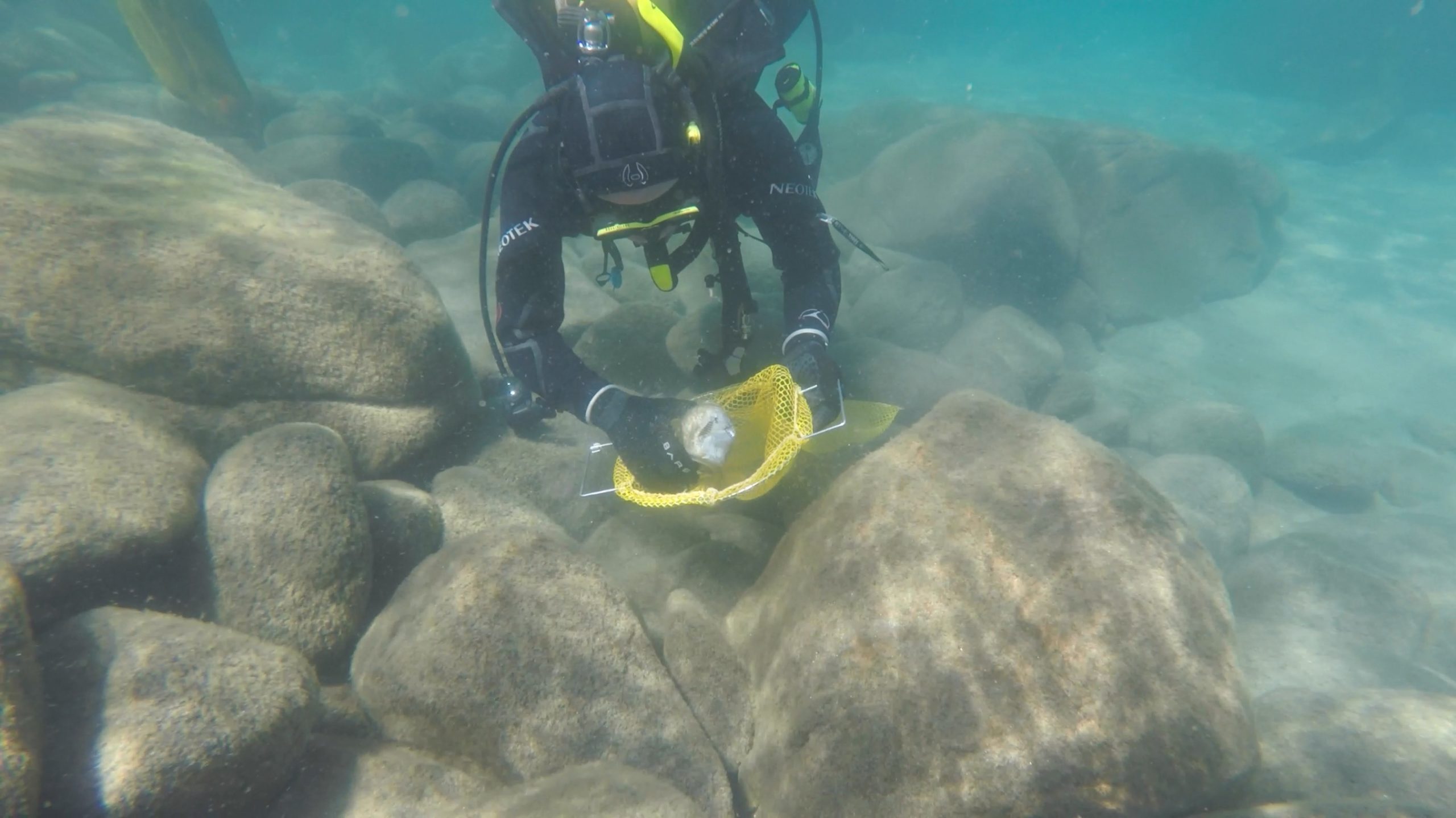 Divers snag Donner Lake trash monster • Reno News & Review
